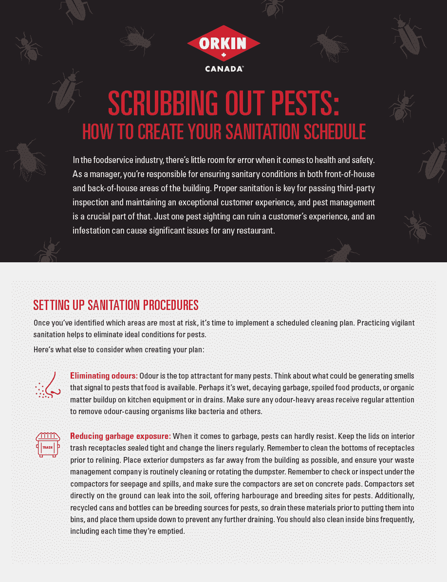 How to Create Your Own Sanitation Schedule - Orkin